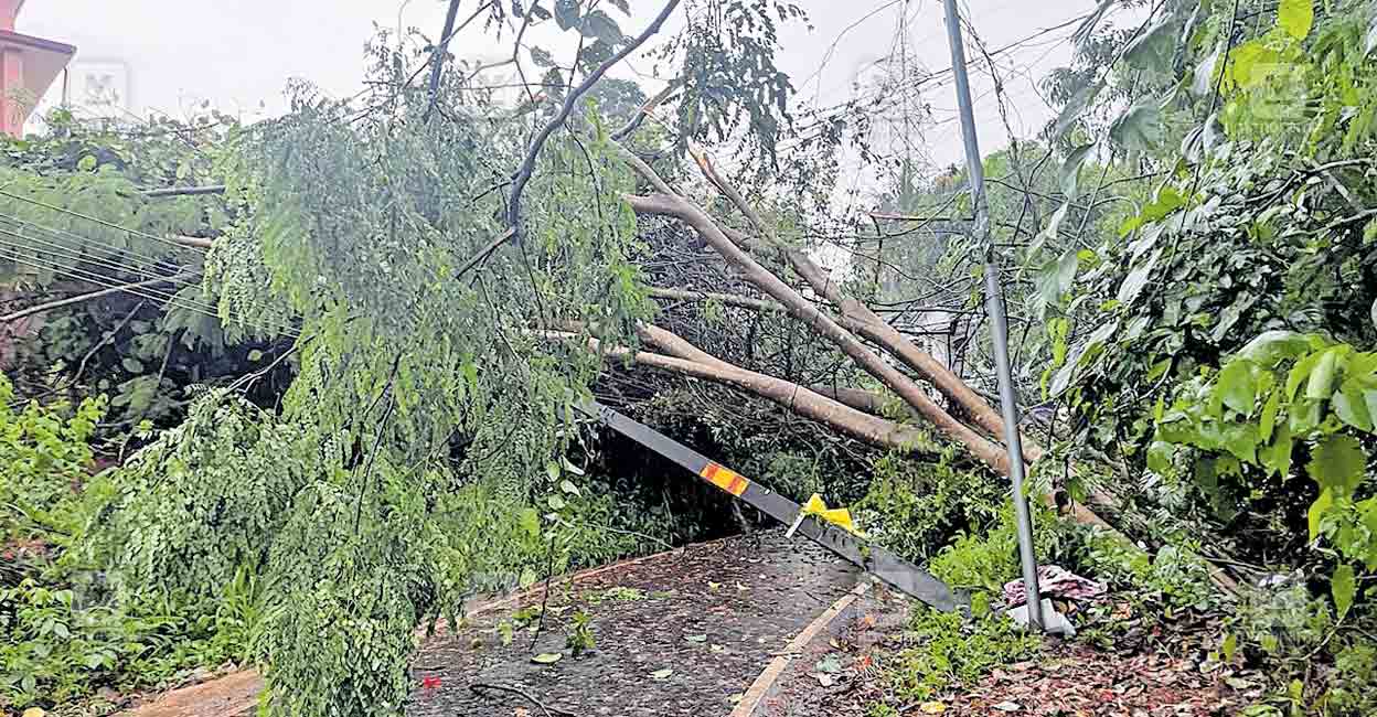 കനത്ത മഴയിൽ മുങ്ങി റോഡും നാടും | Aluva floods | Aluva waterlogging ...