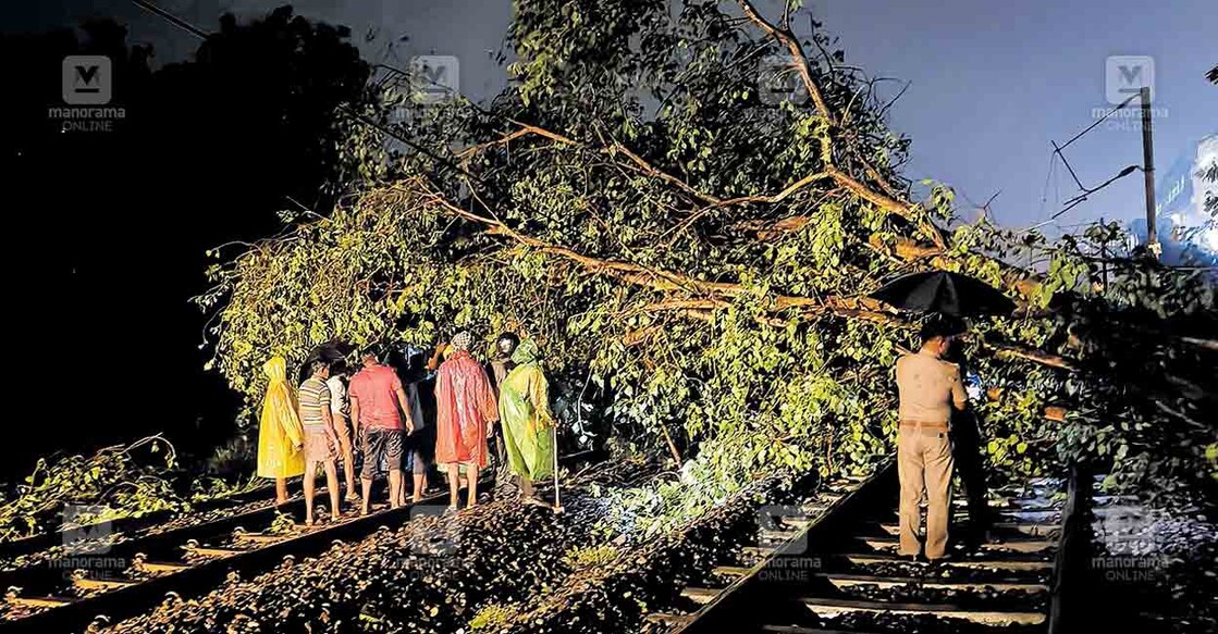 അമ്പാട്ടുകാവിൽ പാളത്തിലേക്ക് ആൽമരം വീണു; ട്രെയിൻ ഗതാഗതം സ്തംഭിച്ചു ...