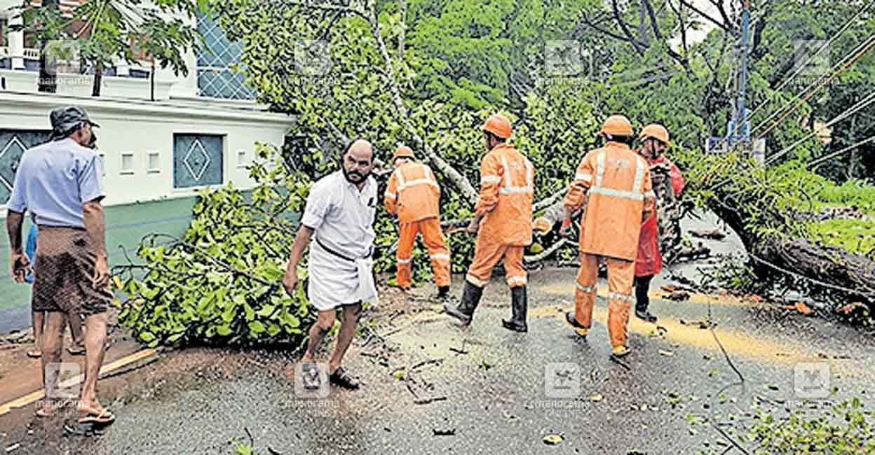 കാറ്റ്: കറുകുറ്റിയിൽ വ്യാപക നാശനഷ്ടം; മഞ്ഞപ്രയിലും മരങ്ങൾ ഒടിഞ്ഞുവീണ് ...