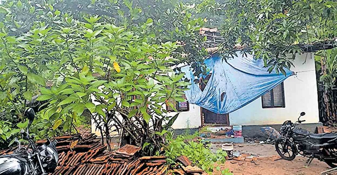 മഴ, കാറ്റ്, സർവത്ര നാശം: കോതമംഗലത്ത് 12 വീടിനു നാശം; കൃഷിനാശം, വൈദ്യുതി ...