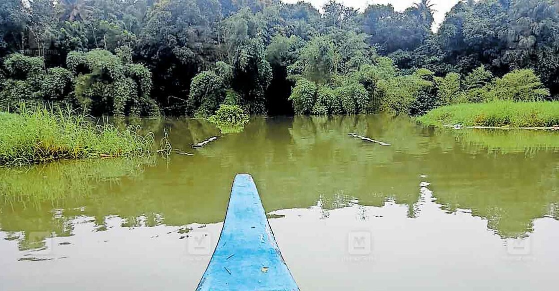 ഒറ്റപ്പെട്ട് ഒക്കൽ തുരുത്ത്; ചപ്പാത്ത് റോഡ് വെള്ളത്തിൽ മുങ്ങിയനിലയി ...