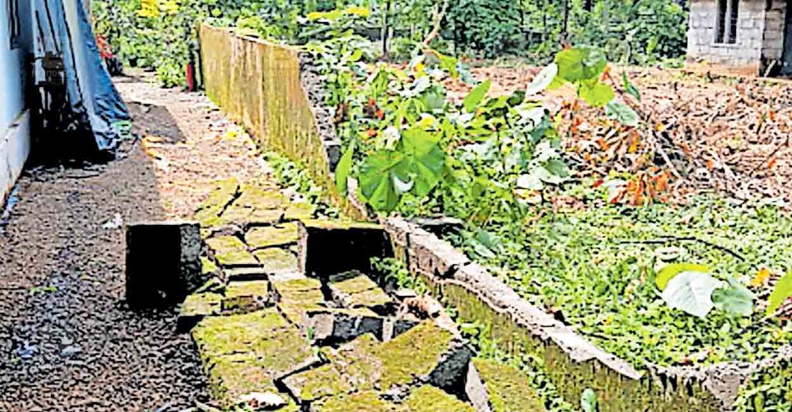 ഇല്ലിത്തോട് രാത്രിയിൽ വീടിന്റെ മതിൽ തകർത്ത് കൃഷി നശിപ്പിച്ച് ...