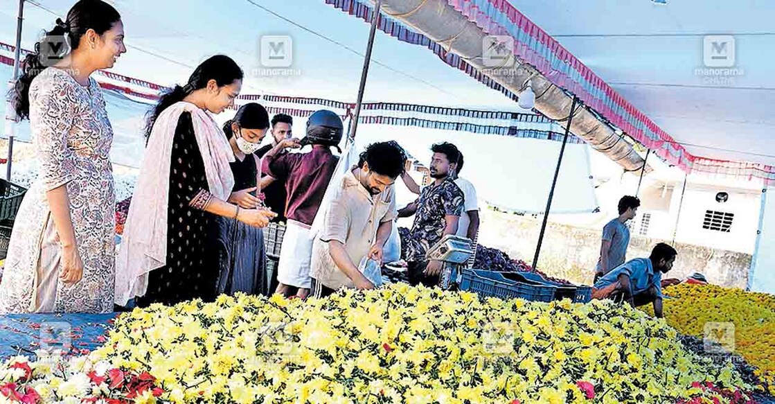 ഓണത്തിരക്കിൽ പറവൂർ; വഴിയോരങ്ങൾ പൂക്കച്ചടവക്കാരും വസ്ത്ര വിൽപനക്കാരും ...