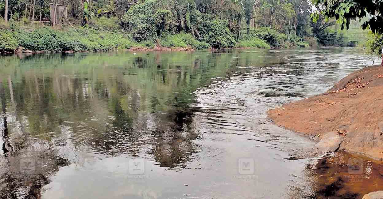 യാത്രാദുരിതം; നാടിനു വേണ്ടത് ഇല്ലത്തും കടവ് പാലം | Muvattupuzha bridge ...
