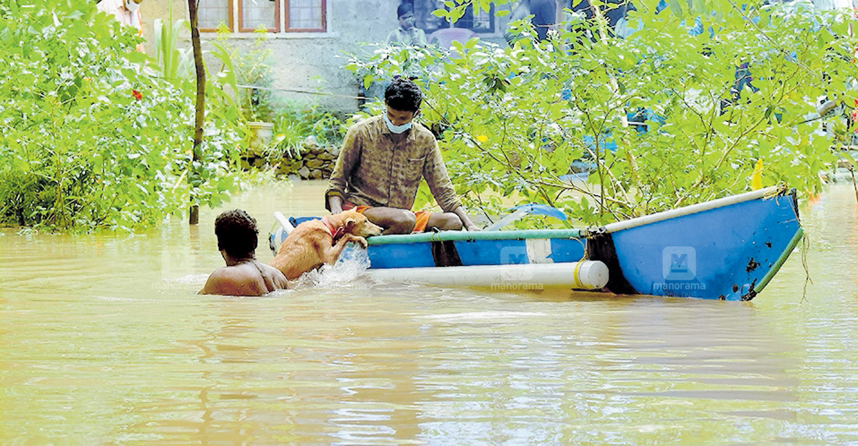 കാലവർഷം, കരുതലോടെ ജില്ല; പഴയകെട്ടിടങ്ങൾ പൊളിക്കണം; അപകടകരമായ മരങ്ങളും ...