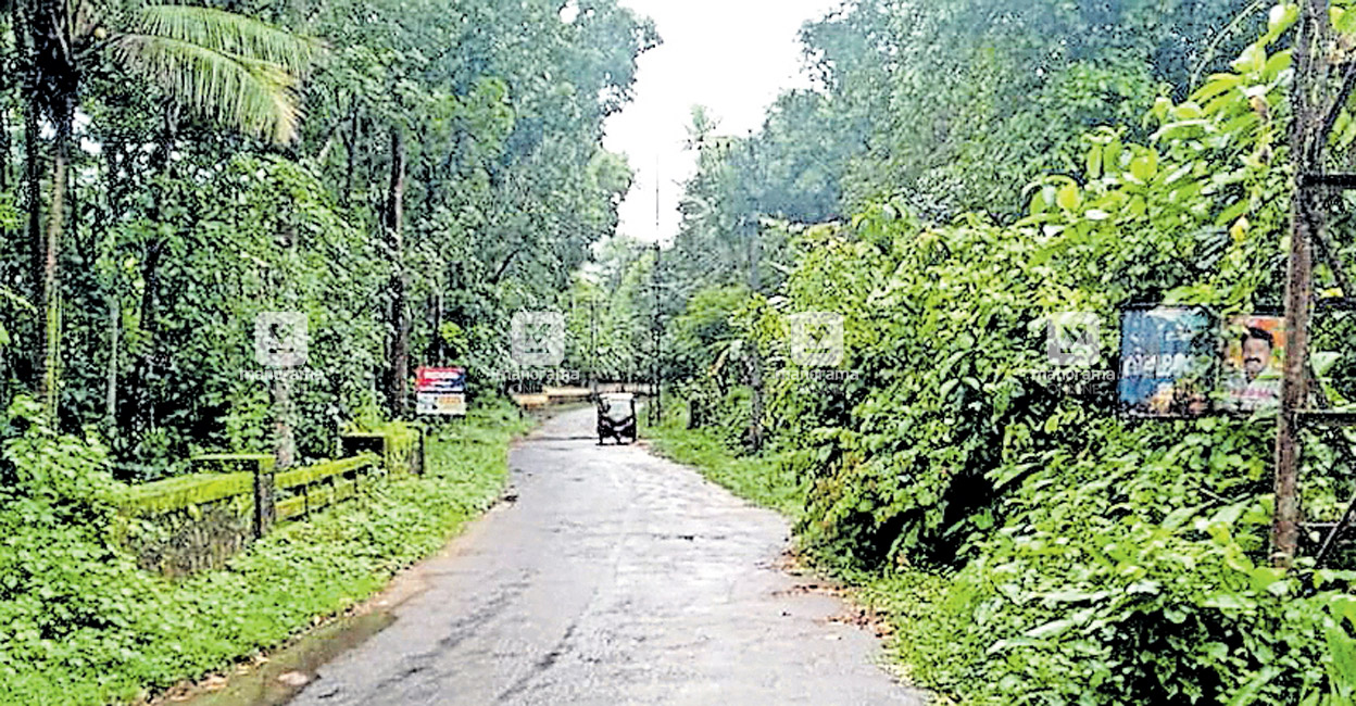 നേർവഴി വന്നവരും സംശയിക്കും വഴി തെറ്റി വന്നത് കാട്ടിലോ?: ഭീതിയിൽ ജനം