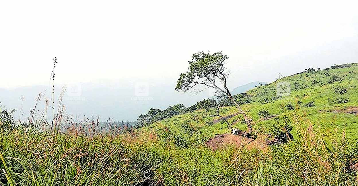 വിസ്മയക്കാഴ്ചയൊരുക്കി കോട്ടപ്പാറ വ്യൂ പോയിന്റ്