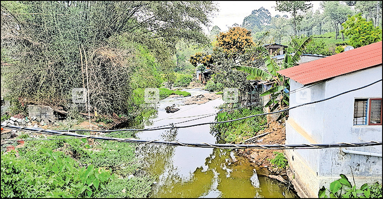 അധികൃതർ കണ്ണടച്ചു; പന്നിയാർ പുഴ മെലിഞ്ഞു