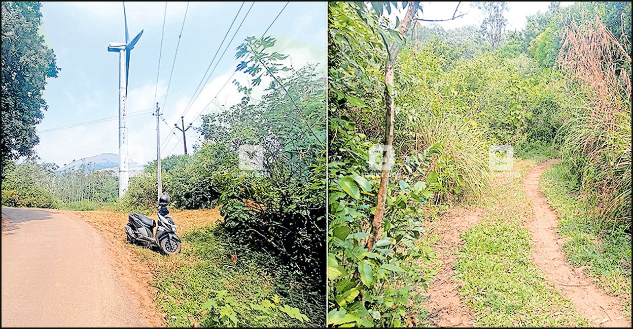 വനാതിർത്തിയിൽ തിരുട്ടുഗ്രാമത്തിൽ നിന്നെത്തിയ മോഷ്ടാക്കളുടെ സാന്നിധ്യം ...