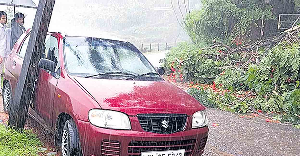 മരശിഖരം വീണ് പോസ്റ്റ് ചെരിഞ്ഞു; കാറിനു കേടുപാട്
