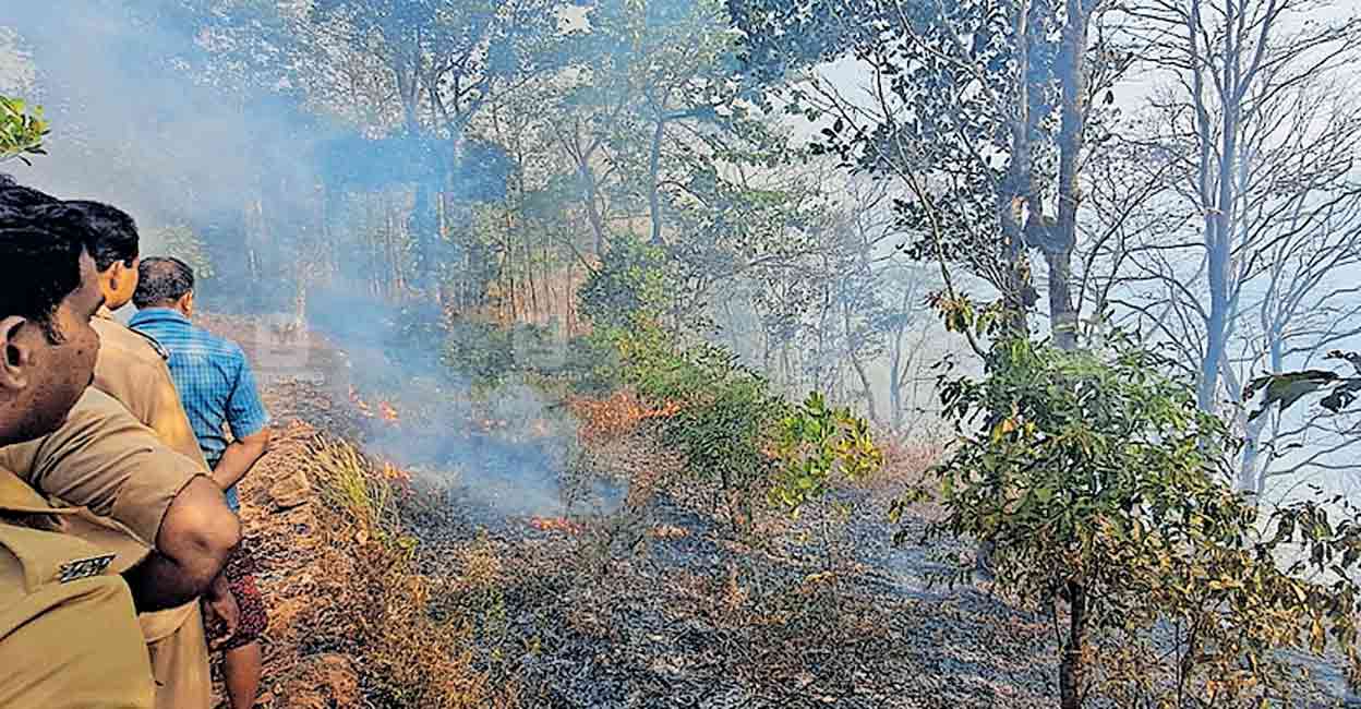 പറമ്പുകാട്ടുമലയിൽ വൻ തീപിടിത്തം