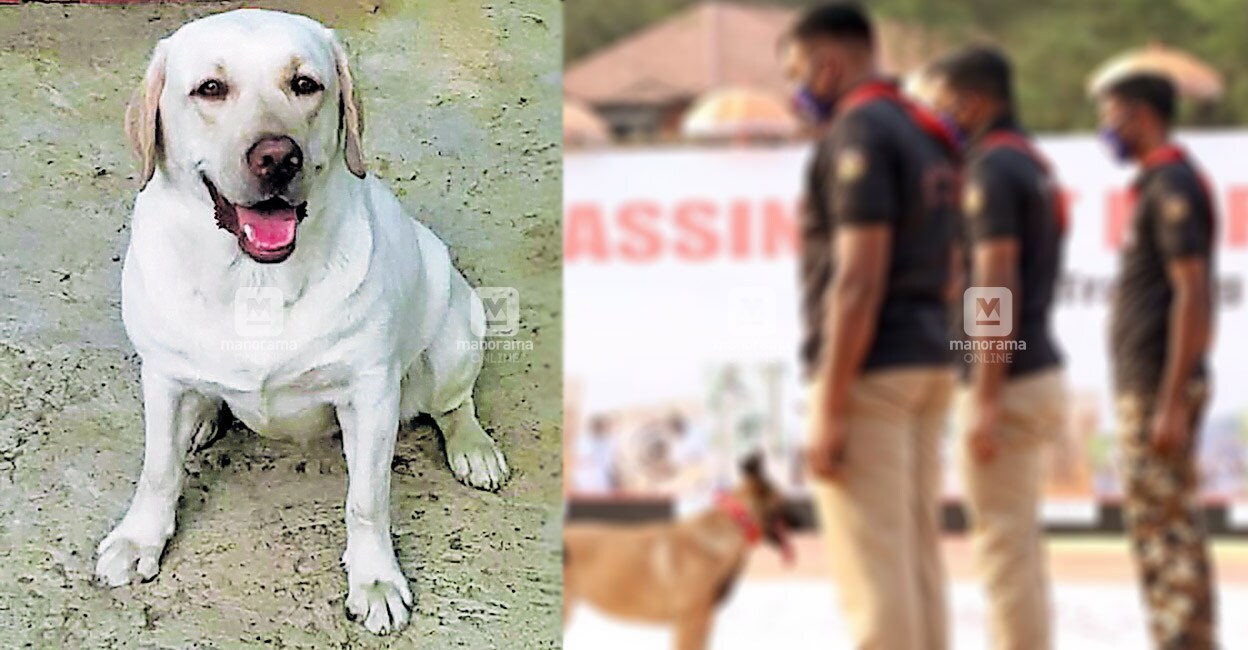 വർഷങ്ങൾ പരിശീലനം നൽകിയിരുന്നവർ ഒരുമിച്ച് മാറി; സ്റ്റെഫി പിണങ്ങി