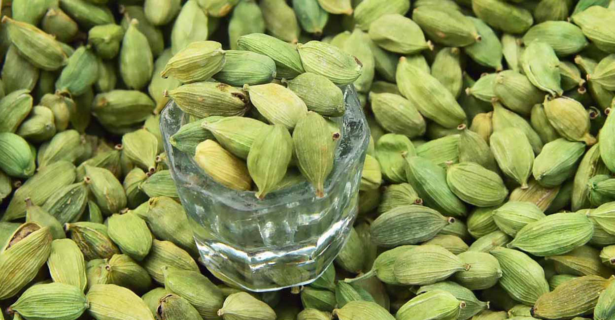 ഏലയ്ക്ക വില 2,000 രൂപ കടന്നു- cardamom | price hike | Manorama News ...