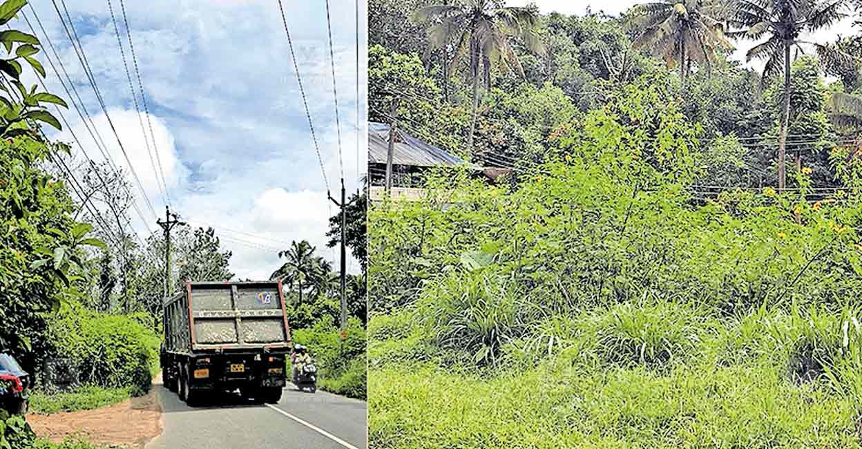 താണു വീണ് ചേമ്പളത്ത് വൈദ്യുതി ലൈൻ | Low-hanging power lines ...