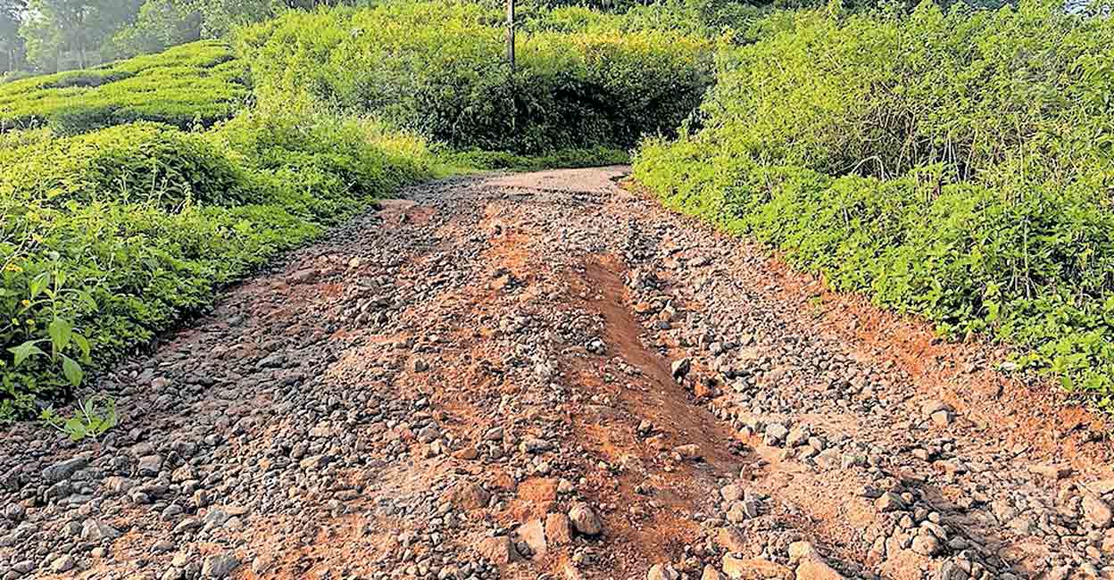 അവസാനം ടാർ ചെയ്തത് 2003ൽ; പോത്തുമറ്റം നിവാസികൾക്ക് ദുരിതയാത്ര ...