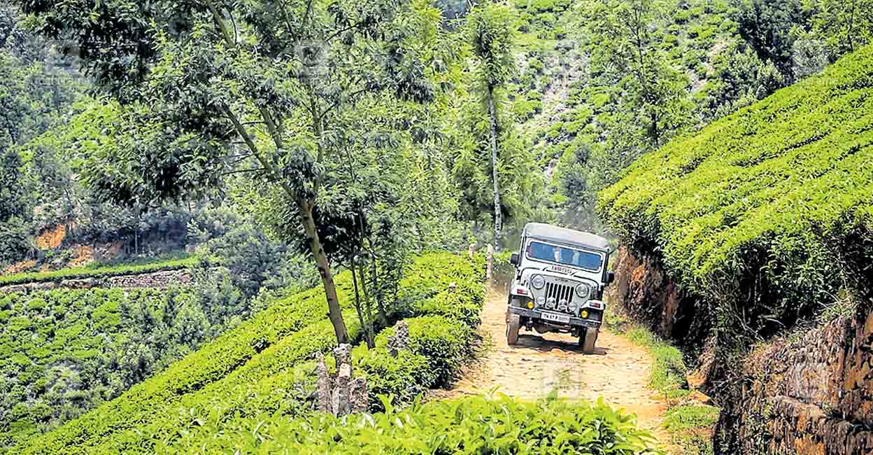 രാത്രിയാത്രാ നിരോധനം: മൂന്നാറുകാർ ചോദിക്കുന്നു: എന്തിന് ഈ ചതി ...