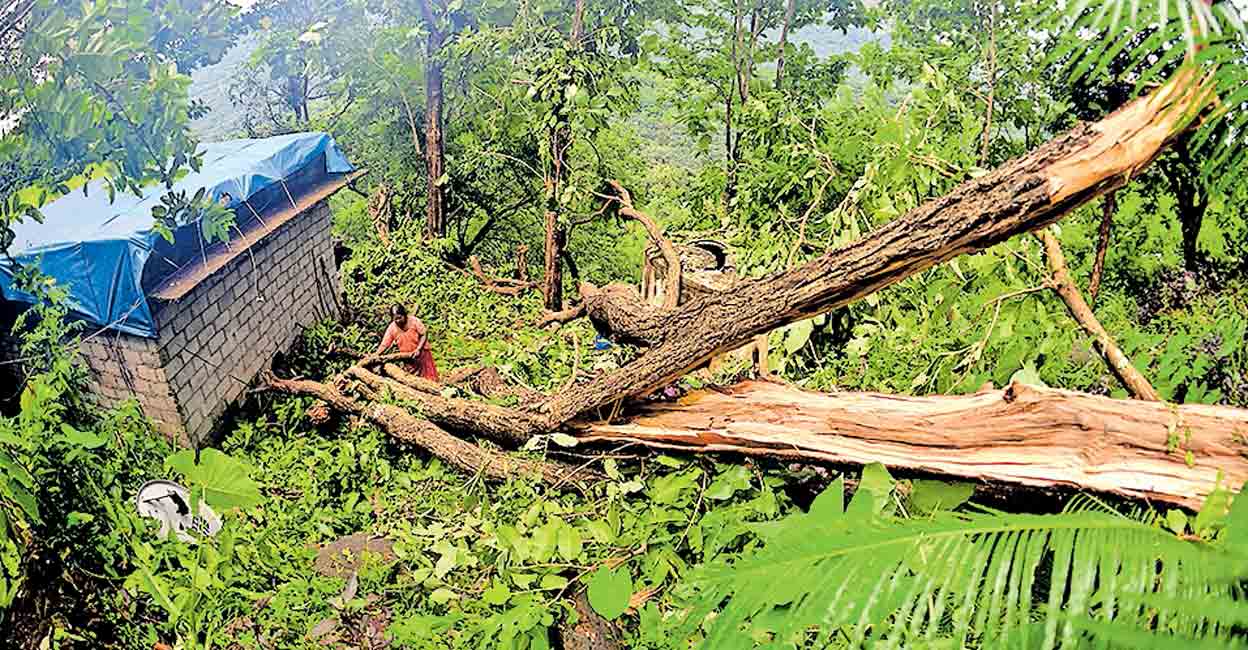 പീരുമേട്ടിൽ 24 മണിക്കൂറിനിടെ പെയ്തത് 173.3 മില്ലിമീറ്റർ മഴ; വ്യാപക നാശം ...