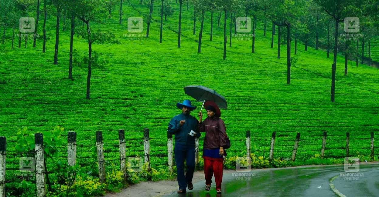 മഴ നനഞ്ഞ് മൂന്നാർ; ഇത്തവണ ലഭിച്ചത് 404.24 സെന്റീമീറ്റർ മഴ | Munnar ...