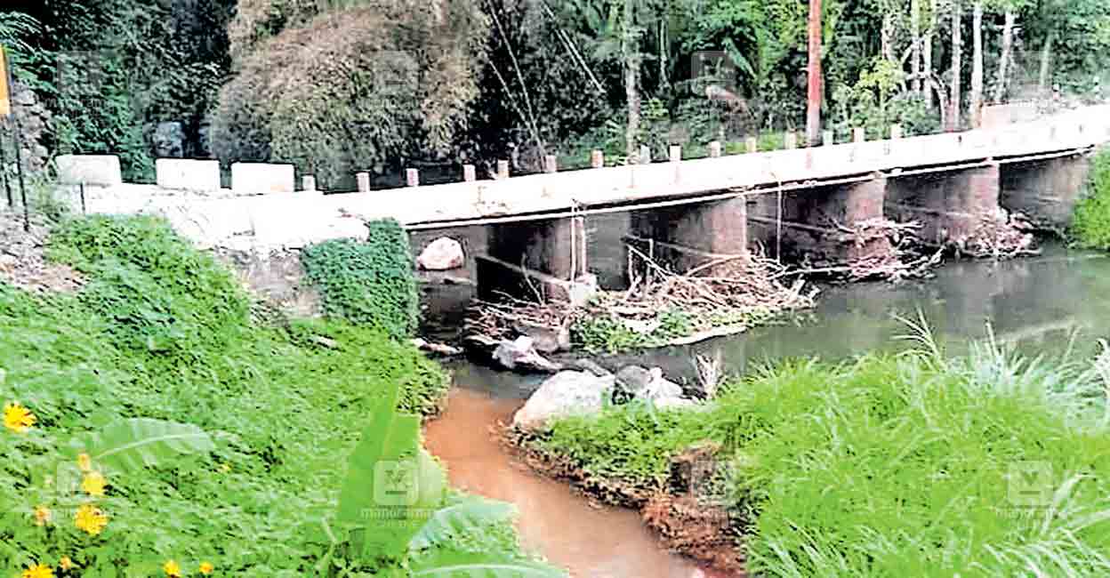 ഇല്ലിപ്പാലം ചപ്പാത്ത് അപകടാവസ്ഥയിൽ; അധികൃതർ അറിഞ്ഞമട്ടില്ല | Senapathy ...