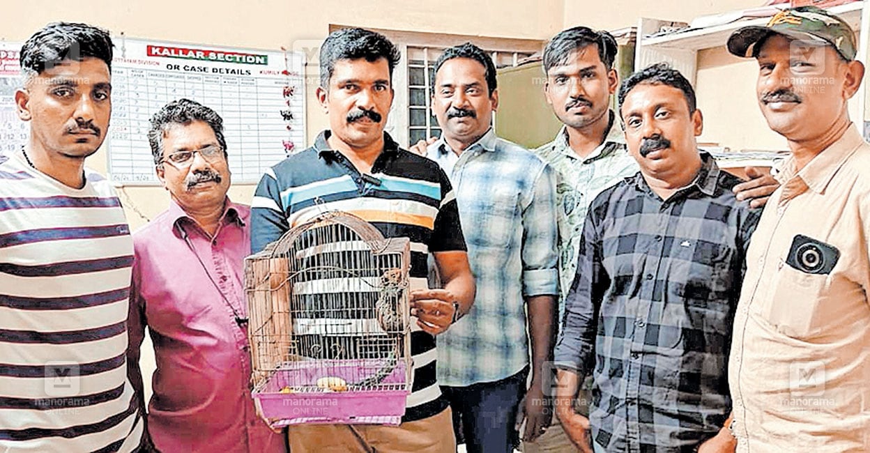 നിലത്തു വീണ് ശ്വാസം നിലച്ച അണ്ണാന് സിപിആർ; മിനിറ്റുകൾക്കകം കണ്ണ് ...