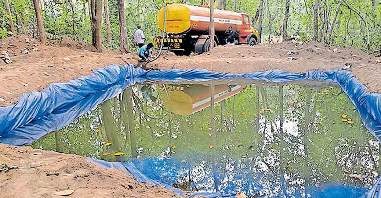 ചന്ദനക്കാട്ടിൽ ഒരു കുളം: വന്യമൃഗങ്ങൾക്ക് ജീവജലവുമായി വനംവകുപ്പ്; വെള്ളം ...