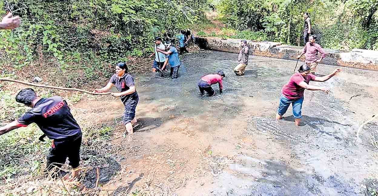 ചന്ദനക്കാട്ടിൽ ഒരു കുളം: വന്യമൃഗങ്ങൾക്ക് ജീവജലവുമായി വനംവകുപ്പ്; വെള്ളം ...
