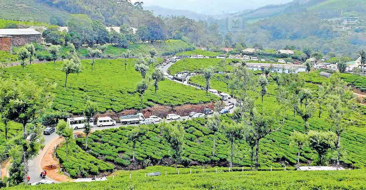 മധ്യവേനലവധി; മൂന്നാറിൽ തിരക്കോട് തിരക്ക്: പൊലീസിന് നിയന്ത്രിക്കാ ...