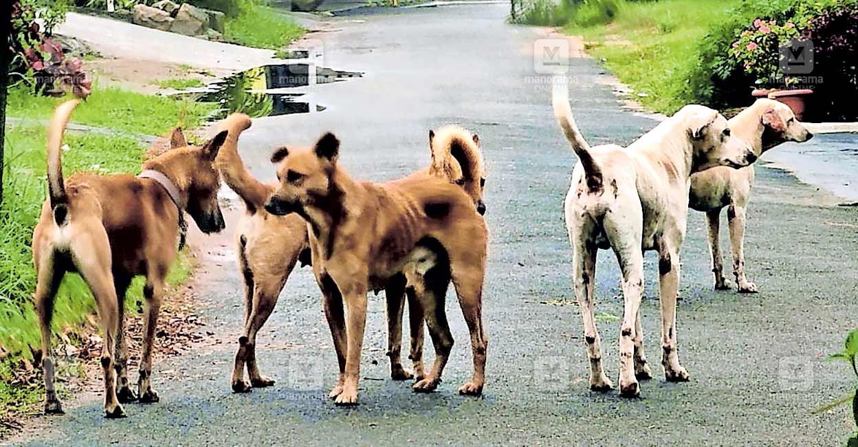 കേരളത്തെ പല്ലിൽ കോർത്ത് പേപ്പട്ടികൾ | മനോരമ ഓൺലൈൻ ന്യൂസ് | മലയാള മനോരമ ...