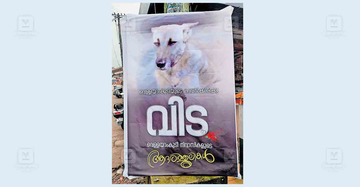 വെള്ളയാംകുടിയുടെ ‘സുന്ദരി’ യാത്രയായി | Sundari | dog | Vellalamkudikar ...