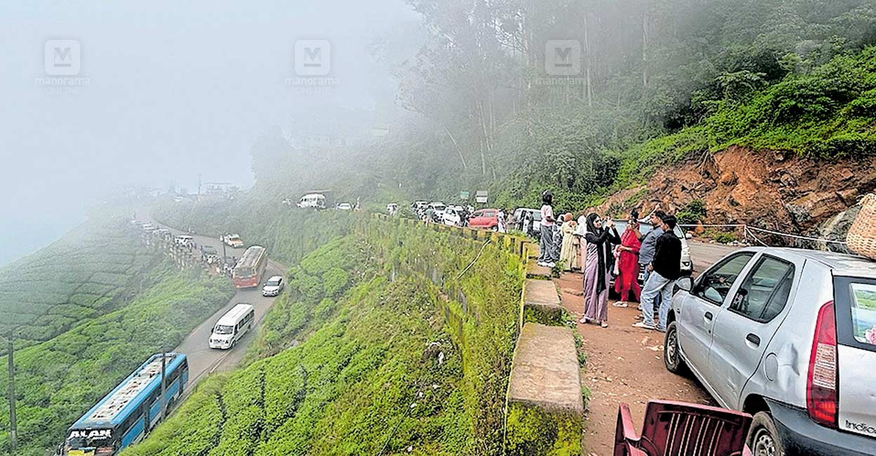 മഴ ശമിച്ചു; മൂന്നാർ വീണ്ടും ഉഷാർ: വിനോദസഞ്ചാരികൾ എത്തിത്തുടങ്ങി ...