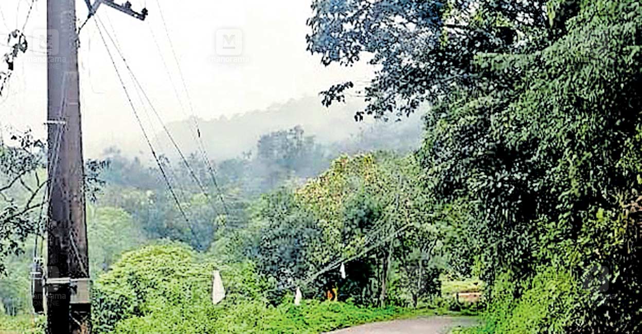 വൈദ്യുത ലൈൻ പൊട്ടിവീണിട്ട് ഒരു മാസം; പുനഃസ്ഥാപിക്കാൻ നടപടിയായില്ല ...