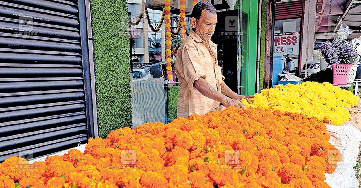 നാട് ഉത്രാടപ്പാച്ചിലിലേക്ക്; വിപണിയിൽ പൊടിപൂരം | Onam festival ...