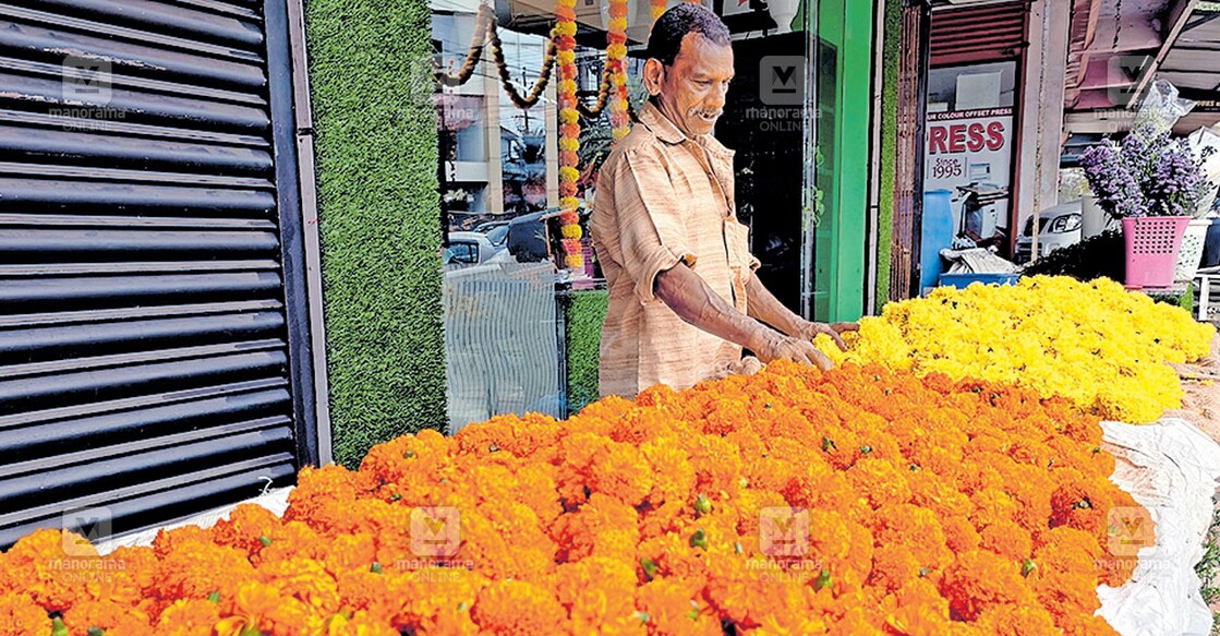 നാട് ഉത്രാടപ്പാച്ചിലിലേക്ക്; വിപണിയിൽ പൊടിപൂരം | Onam festival ...