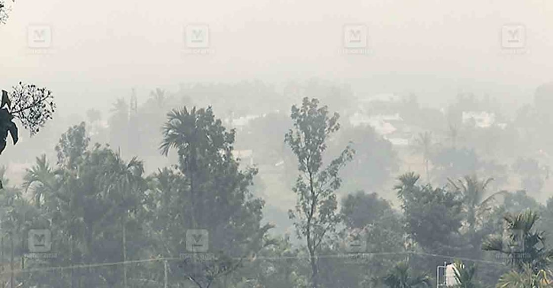 മഴയും മൂടൽമഞ്ഞും; മറയൂരിൽ കൃഷി പ്രതിസന്ധിയിൽ | Munnar weather | Kerala ...