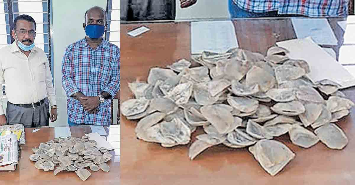 ഈനാംപേച്ചിയുടെ തൊലി വിൽക്കാൻ ശ്രമിച്ച 2 പേർ പിടിയിൽ