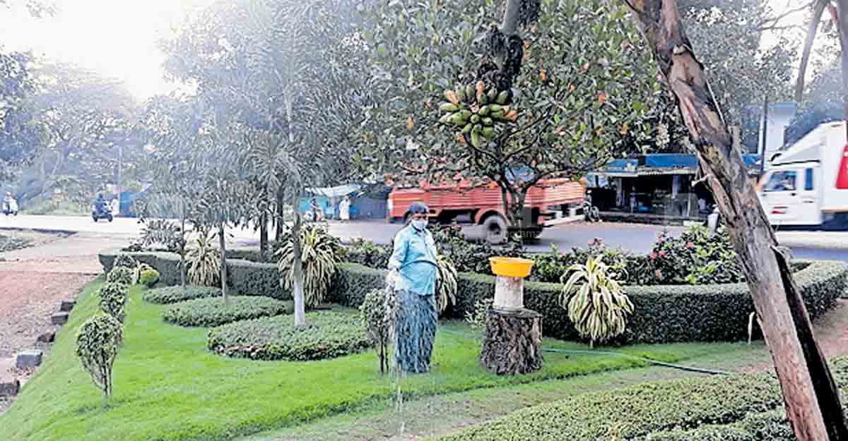 പക്ഷികൾക്കു ഭക്ഷണമൊരുക്കി ചന്ദ്രന്റെ ഉദ്യാനങ്ങൾ