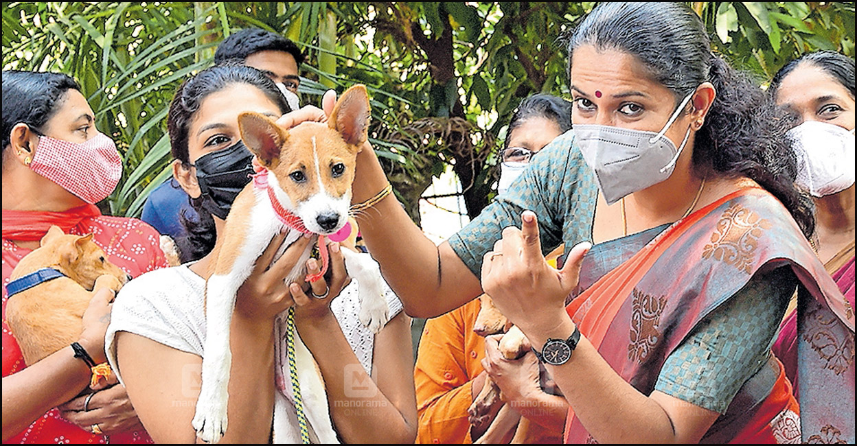 പൂർണ ആരോഗ്യമുള്ളതുമായ ഇരുപത്തിയഞ്ചോളം നായക്കുട്ടികൾ; ദത്തെടുക്കൽ മേള ...