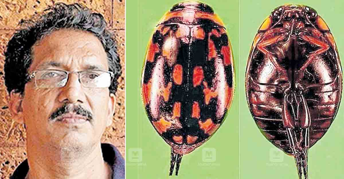 സ്വന്തം പേരിൽ പ്രാണി വർഗം: വിജയകുമാർ ബ്ലാത്തൂരിന് ഇത് അഭിമാന മുഹൂർത്തം