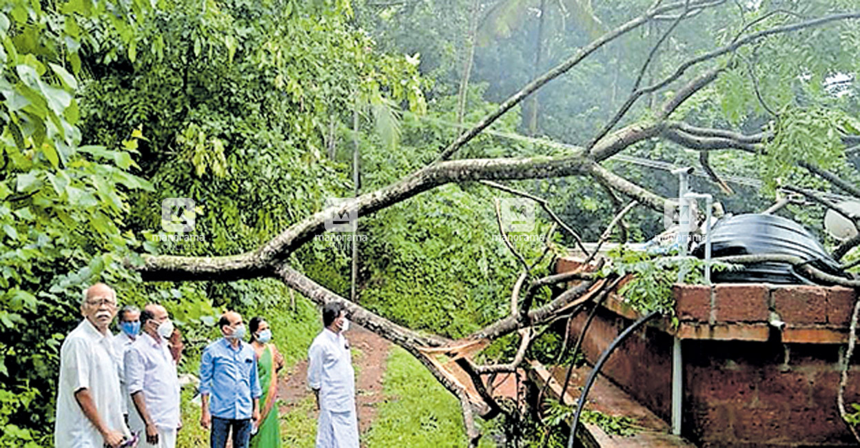 മഴ, കാറ്റ്; വ്യാപക നാശം – ചിത്രങ്ങൾ