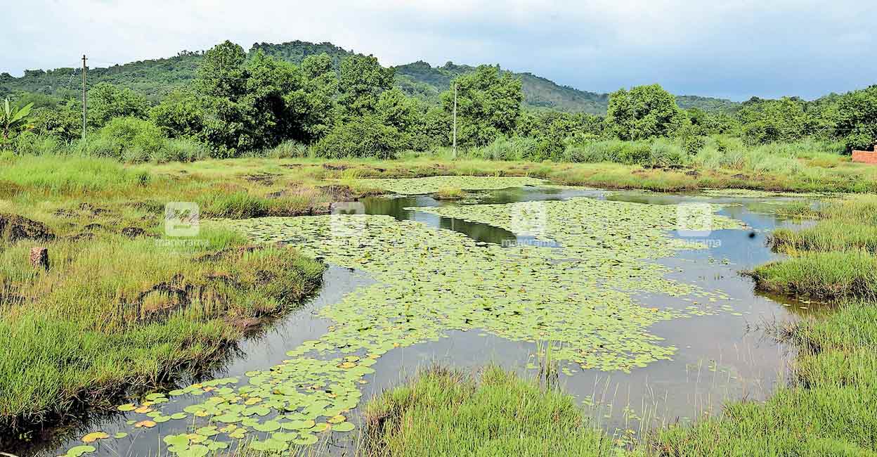 സംരക്ഷിക്കണം പ്രകൃതിദത്ത ജലാശയങ്ങൾ
