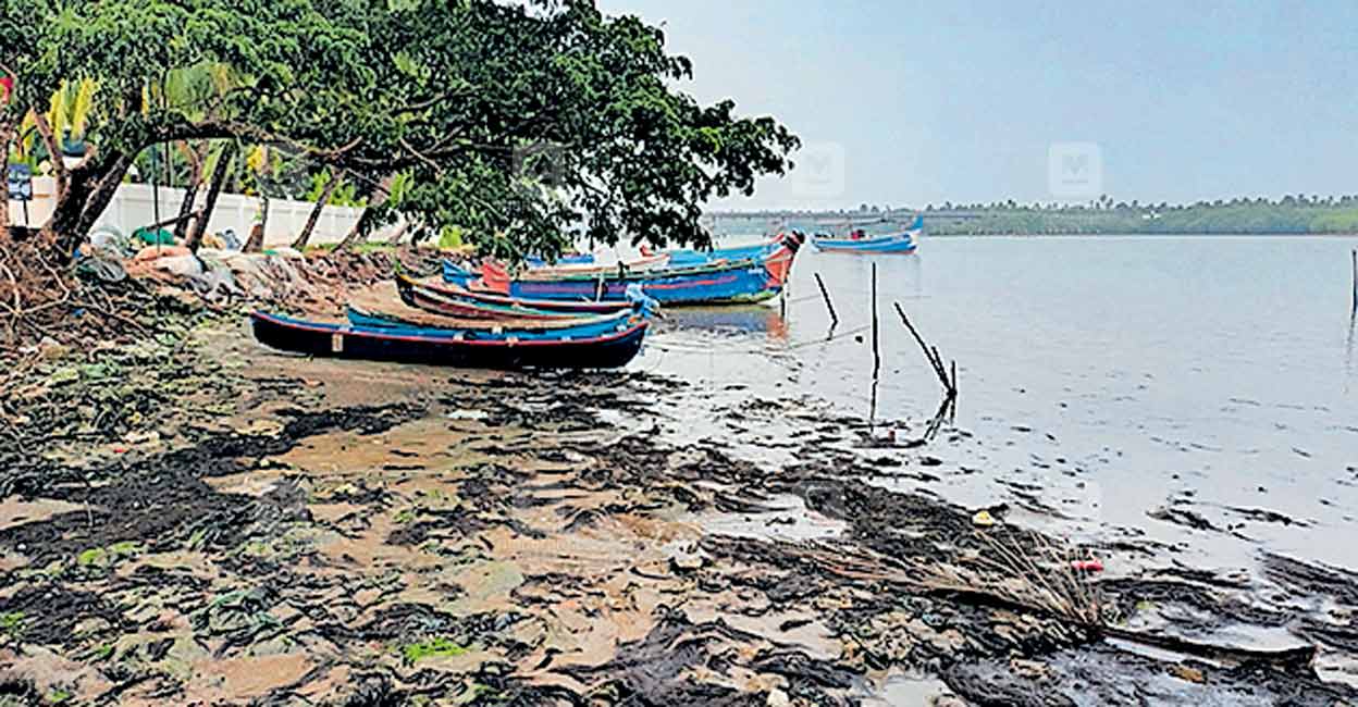 മാട്ടൂൽ സൗത്തിൽ ഫിഷ് ലാൻഡിങ് സെന്റർ ഇല്ല; ദുരിതം പേറി മത്സ്യത്തൊഴിലാളികൾ