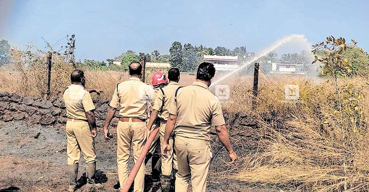 മത്തിപ്പാറയിൽ പറമ്പിൽ തീപിടിത്തം