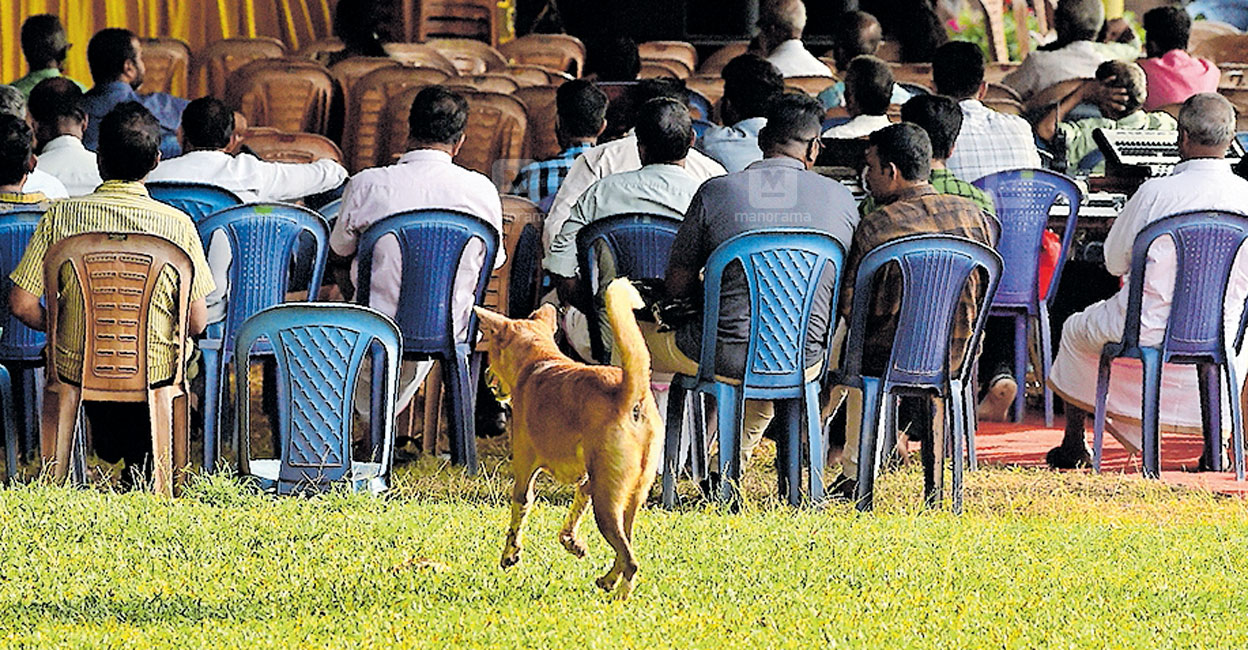 തെരുവുനായ ആക്രമണം; കണ്ണൂർ ജില്ലയിൽ ഇന്നലെ കടിയേറ്റത് 40 പേർക്ക് | Stray ...
