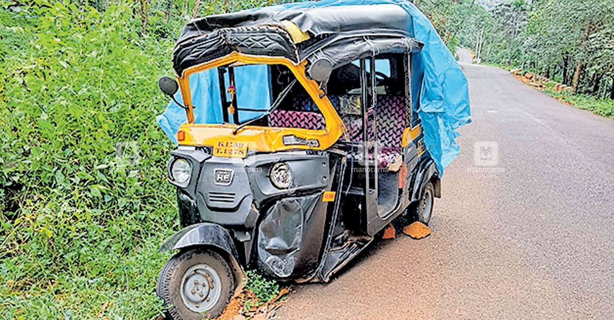 നായ കുറുകെ ചാടി; നിയന്ത്രണം വിട്ട ഓട്ടോറിക്ഷ വൈദ്യുത തൂണിലിടിച്ചു