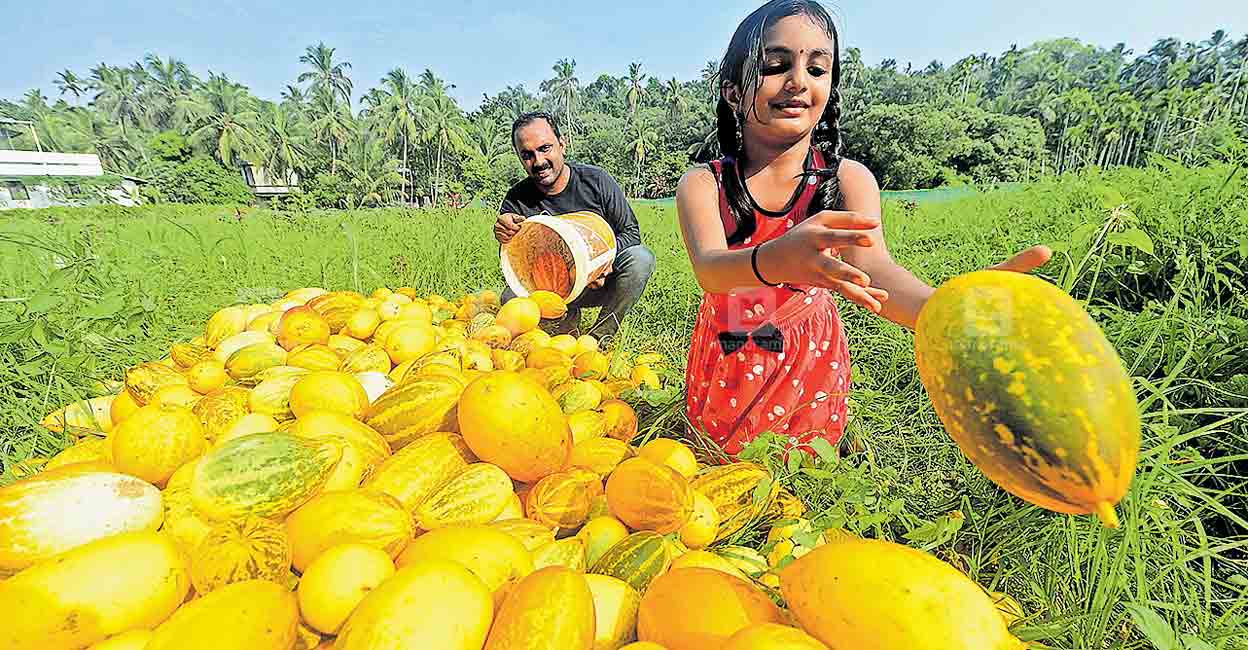 ഉത്സവാഘോഷ തിരക്കിൽ നാട്