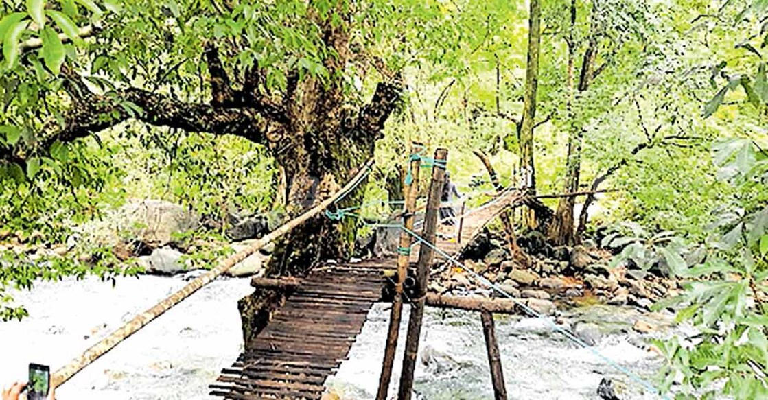 ജീവിതത്തിന്റെ കനൽവഴി; അടിസ്ഥാന സൗകര്യങ്ങളില്ല, ഇടക്കോളനി നിവാസിക ...