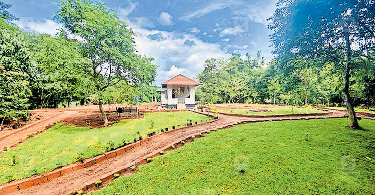 ജില്ലയിലെ ആദ്യ നഗരവനം ഇരിട്ടിയിൽ; ഉദ്ഘാടനം നാളെ | Nagaravanam | Iritty ...