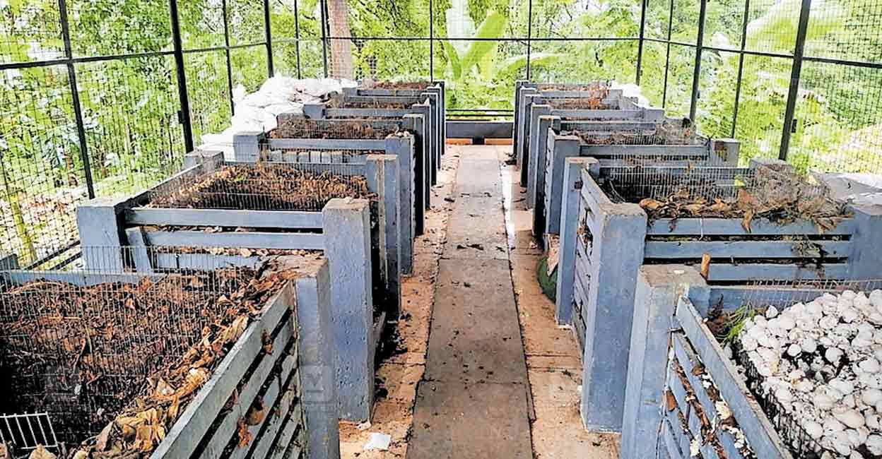 പാഴല്ല, ഇരിട്ടിയിൽ പണമാണ് മാലിന്യം | organic waste management | waste ...