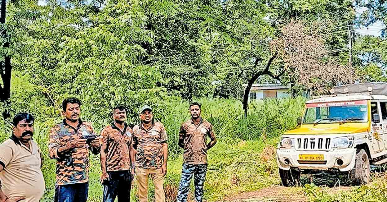 ആറളത്ത് ഡ്രോണിൽപെടാതെ കാട്ടാനകൾ; ദുരിതം തുടരുന്നു | wild elephant ...
