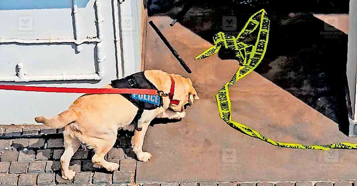 വാതിൽ, അലമാര, ലോക്കർ എന്നിവ മുറിക്കുകയോ തകർക്കുകയോ ചെയ്യാതെ കവർച്ച ...